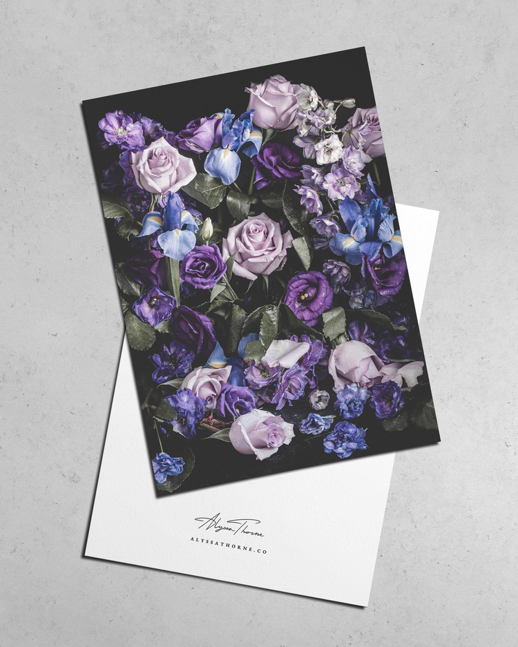 Alyssa Thorne Fine Art