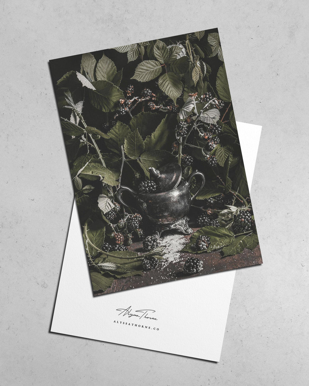 Postcards – Alyssa Thorne