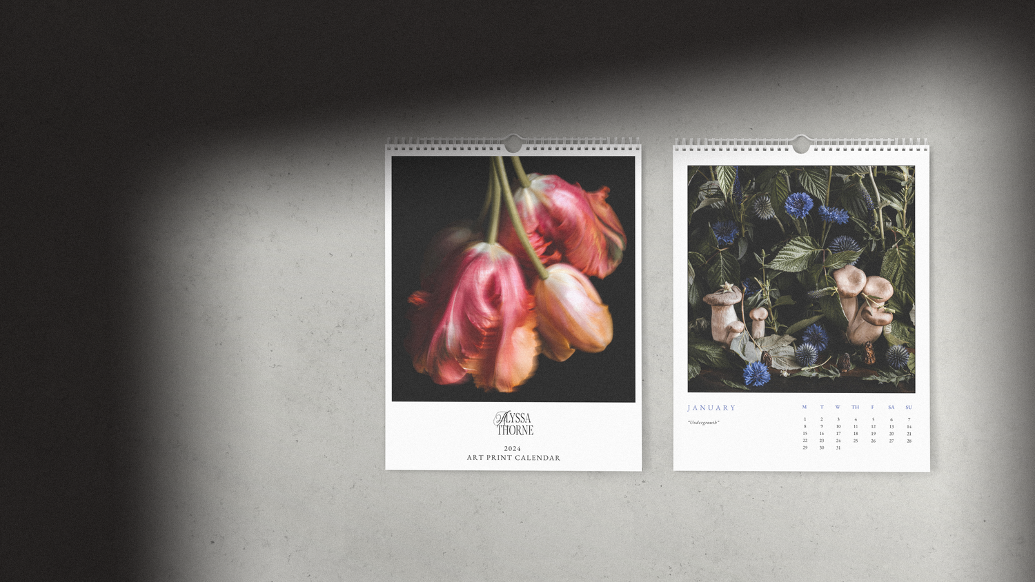 Alyssa Thorne Fine Art