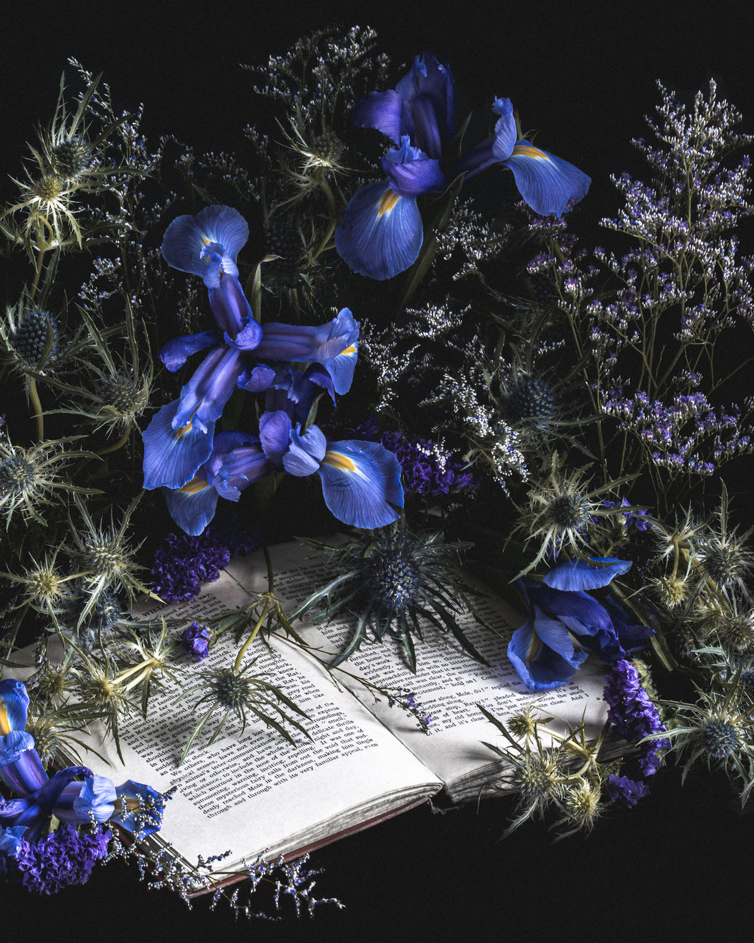 Alyssa Thorne Fine Art