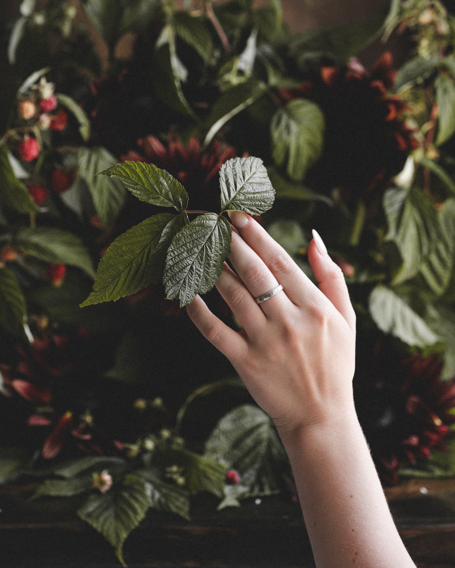 Alyssa Thorne Fine Art